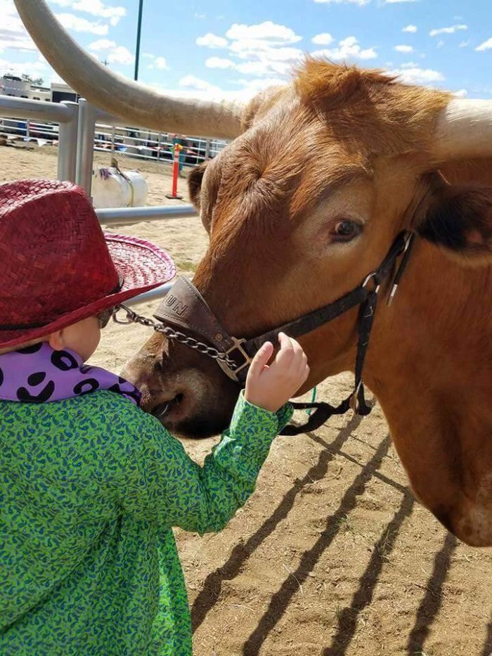 Gallery images from many of our events - Rascal Rodeo